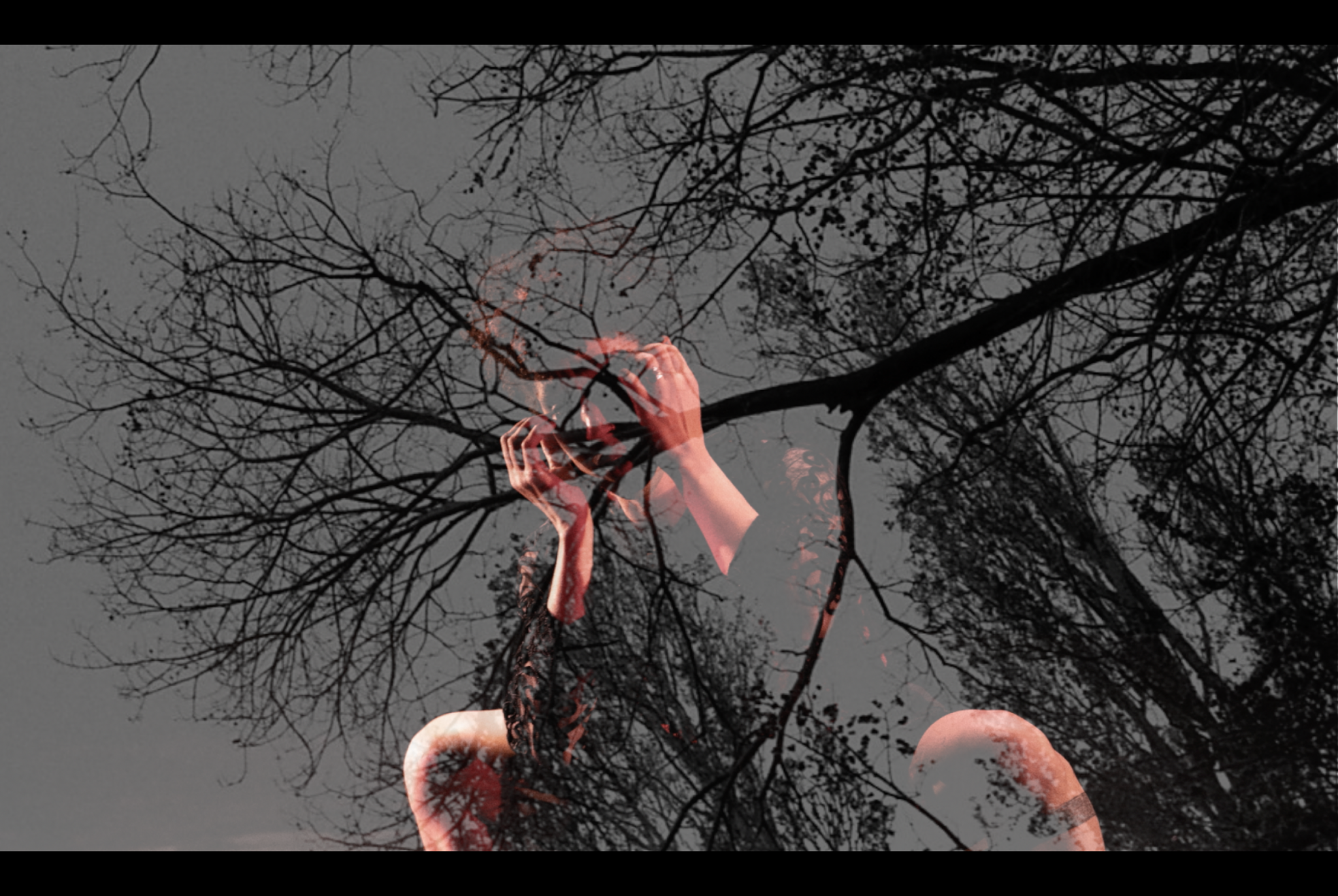 LEE INGRAM - Studio 303